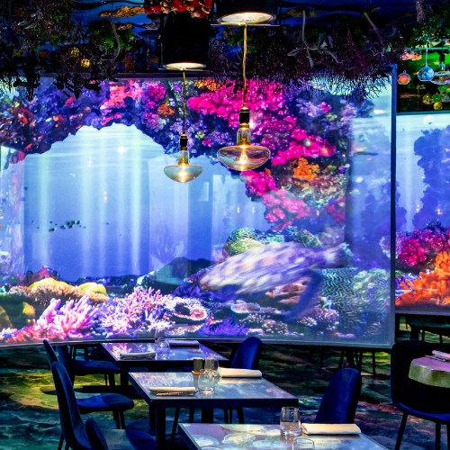 Ephemera - Restaurants immersifs à découvrir